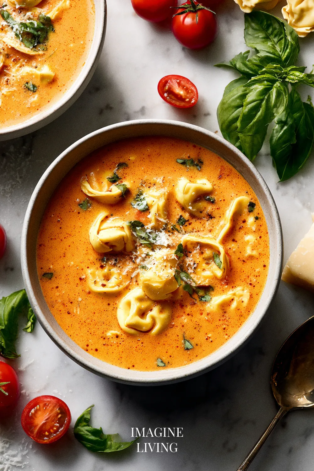 Comforting Creamy Tomato Tortellini Soup